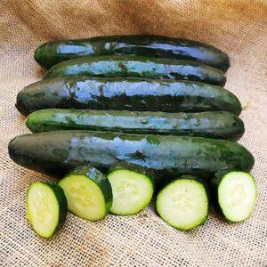 All Types of Cucumber with a Beautiful Photo List - Topperone