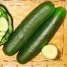 All Types of Cucumber with a Beautiful Photo List - Topperone