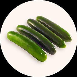 All Types of Cucumber with a Beautiful Photo List - Topperone