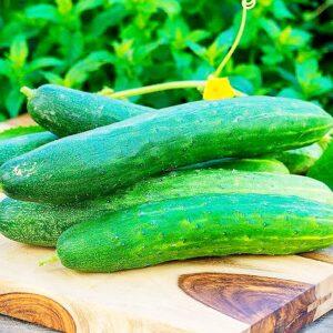 All Types of Cucumber with a Beautiful Photo List - Topperone