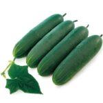 All Types of Cucumber with a Beautiful Photo List - Topperone