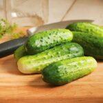 All Types of Cucumber with a Beautiful Photo List - Topperone
